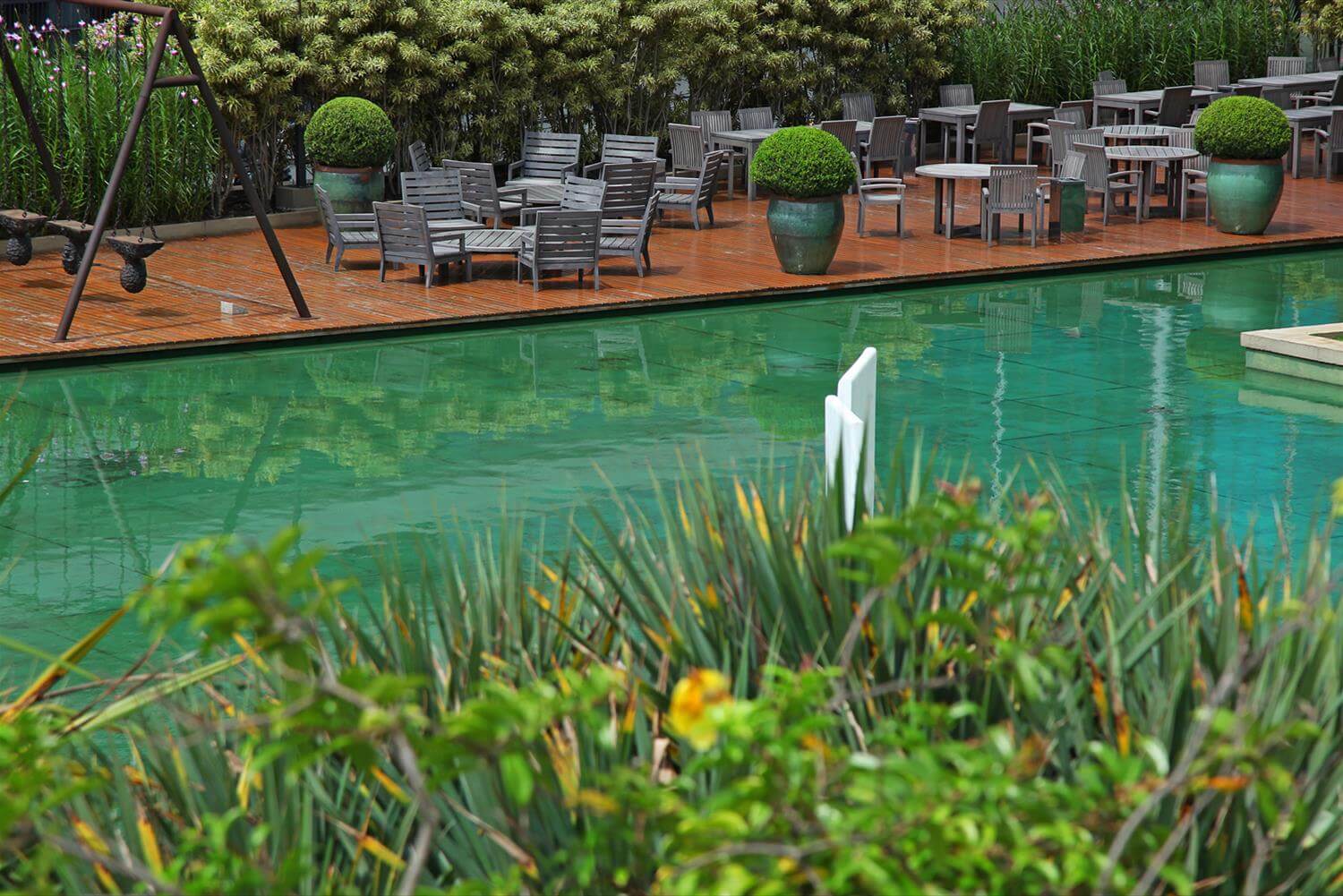 Ana Paula Magaldi - Paisagista - Hidro Sistemas